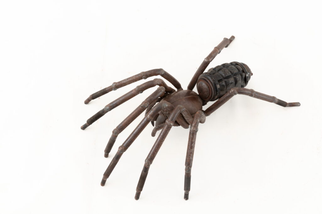 Tube Web Spider - Living Art in Heddington